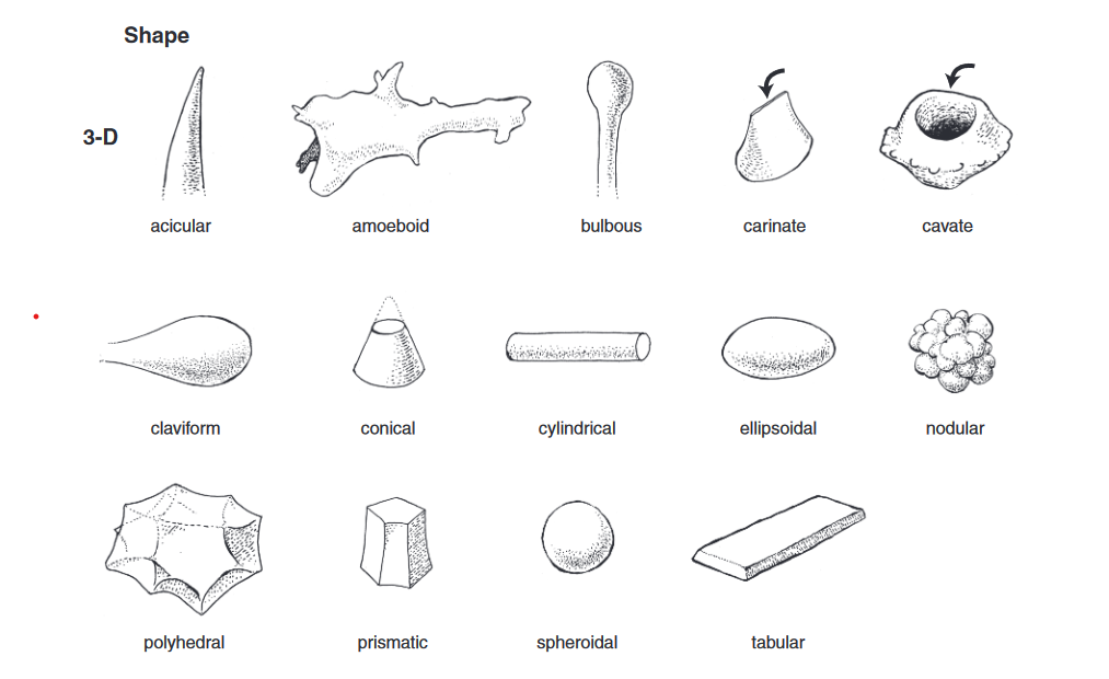 Phytolith processing – Reference Collection